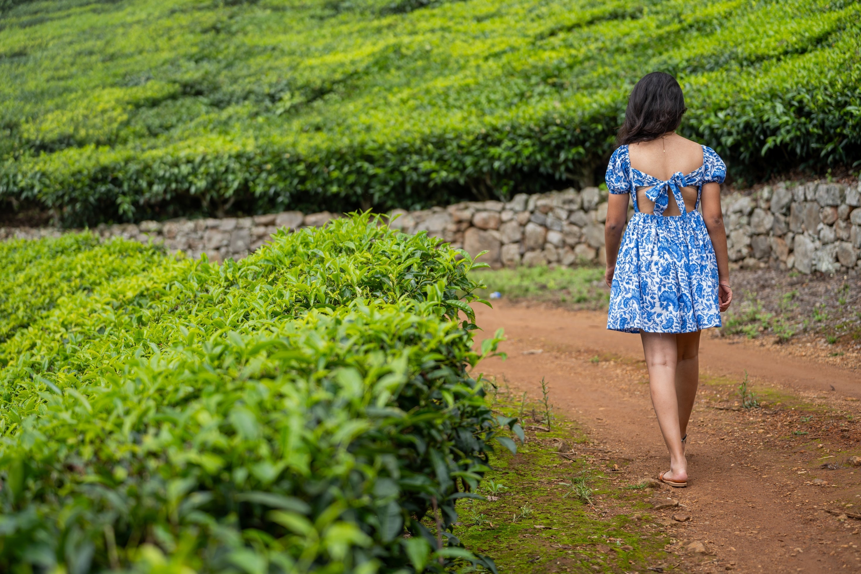 Comfortable cotton clothes for men & women – The Trampoline